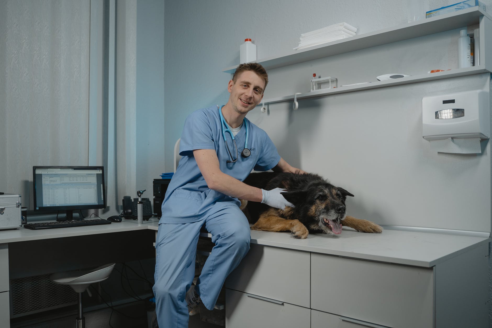 How to Ensure Your Pet's Comfort During Boarding - Trudeau Meter