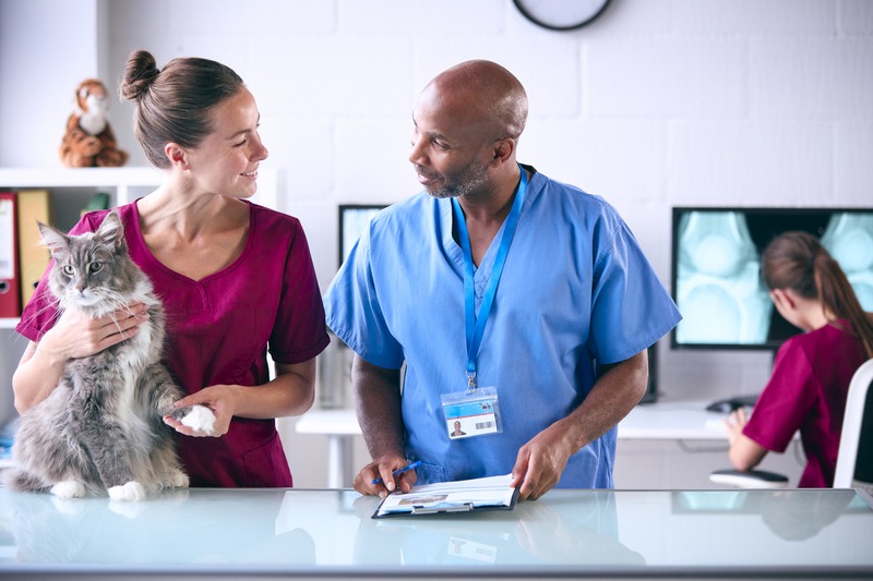 How Can Routine Vet Checks Prevent Pet Illnesses? - Trudeau Meter